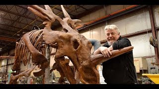 Home [www.cfontario.ca]